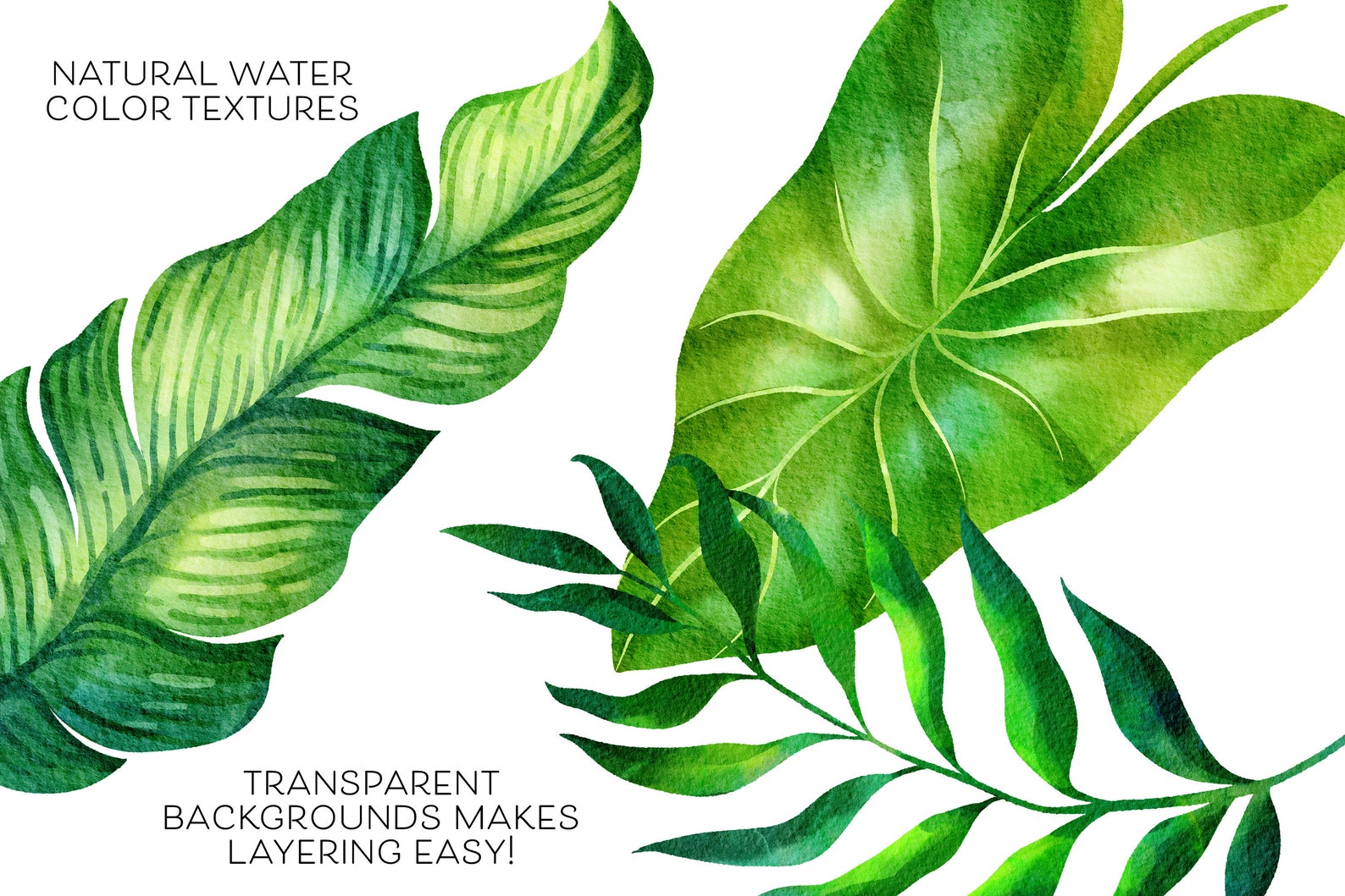 Watercolor Tropical Leaves Clipart Set Digital Watercolor | Etsy