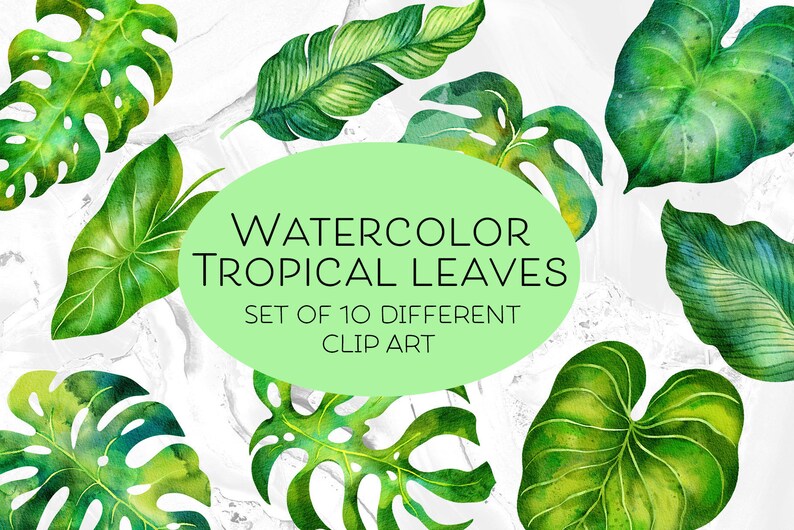Watercolor Tropical Leaves Clipart Set Digital Watercolor | Etsy