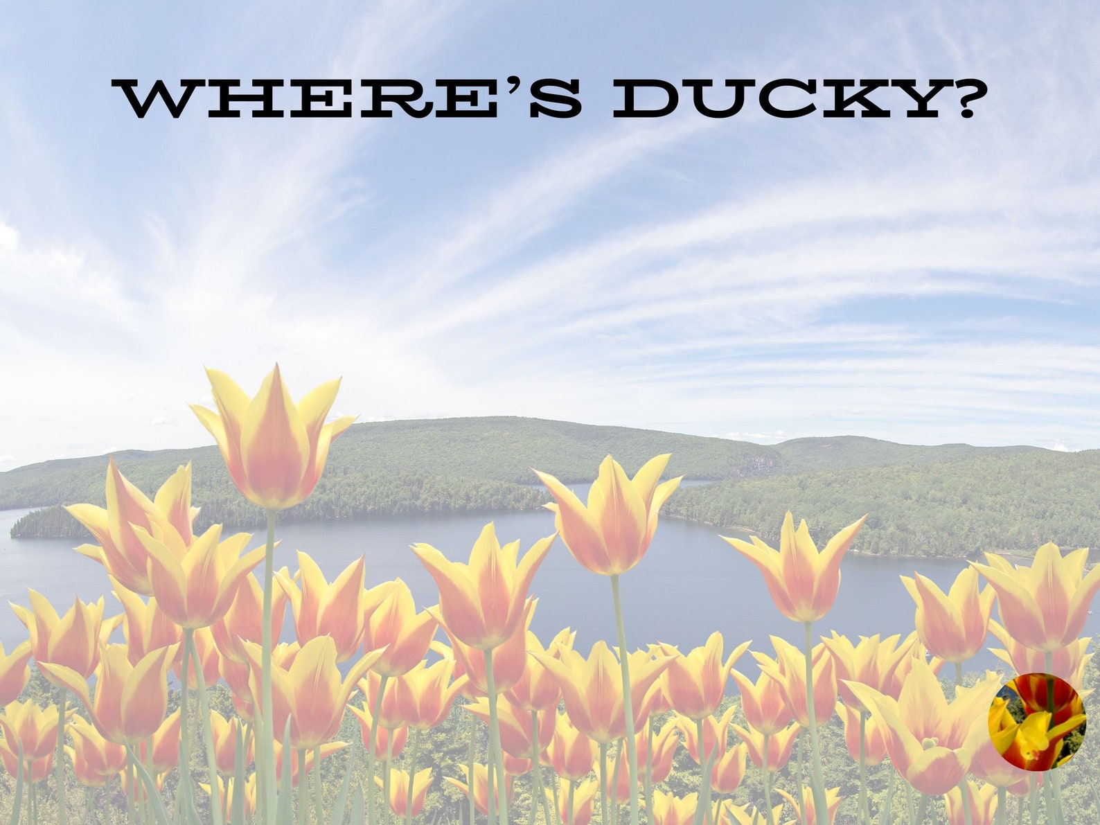 Where's Ducky? Family Fun Trivia! Find All 10 Ducks Hidden in Images - Etsy