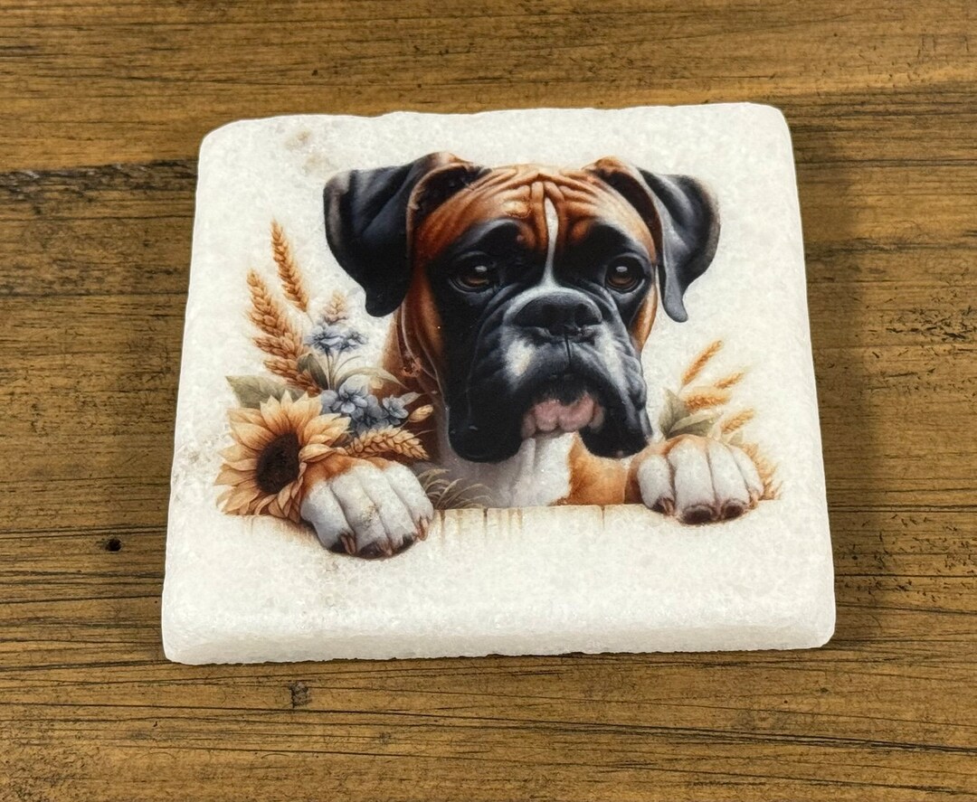 Handmade Carrara Marble Fall Boxer Coasters - Etsy
