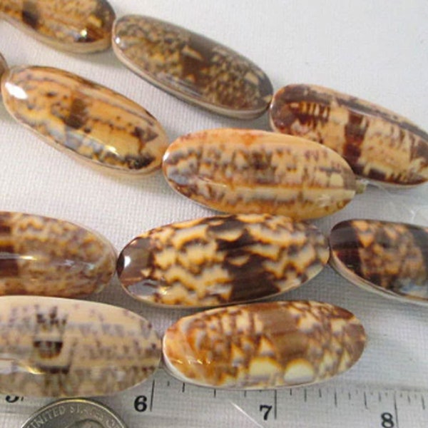 Sea Shells Beads - Etsy