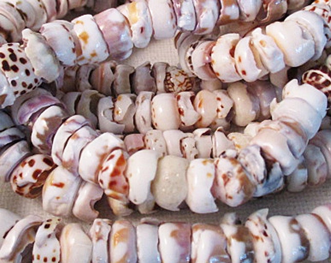 Small Speckled Shell Beads, Tiger Seashell Puka Beads, 9mm to 10mm ...