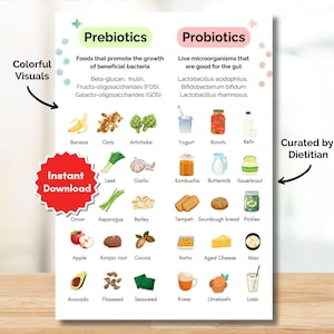 Gut Health Food Chart, Probiotic and Prebiotic, Nutrition for Gut ...