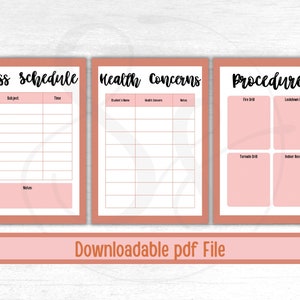 Pink Boho Aesthetics Substitute Teacher Binder, Printable Downloads ...
