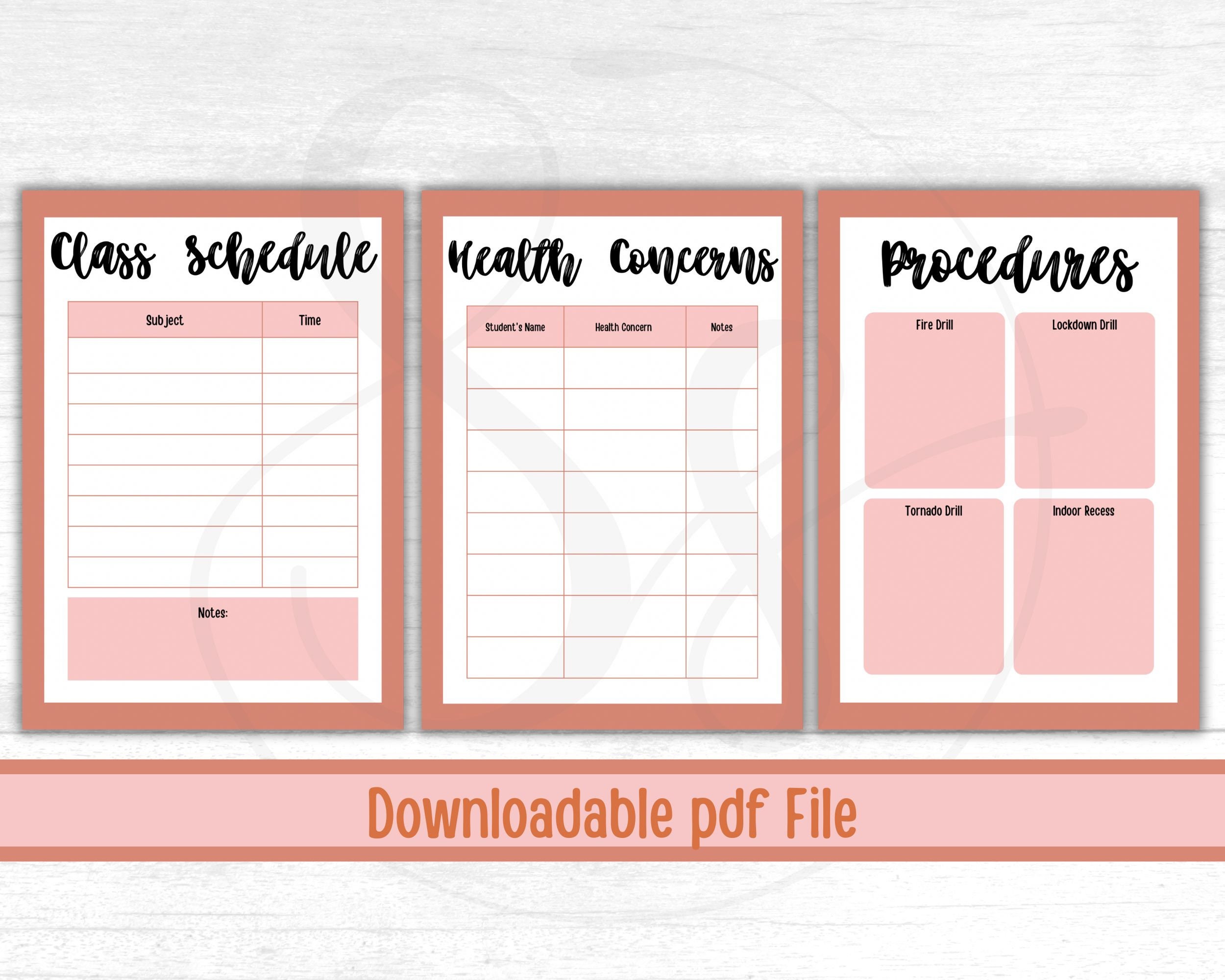Pink Boho Aesthetics Substitute Teacher Binder, Printable Downloads ...