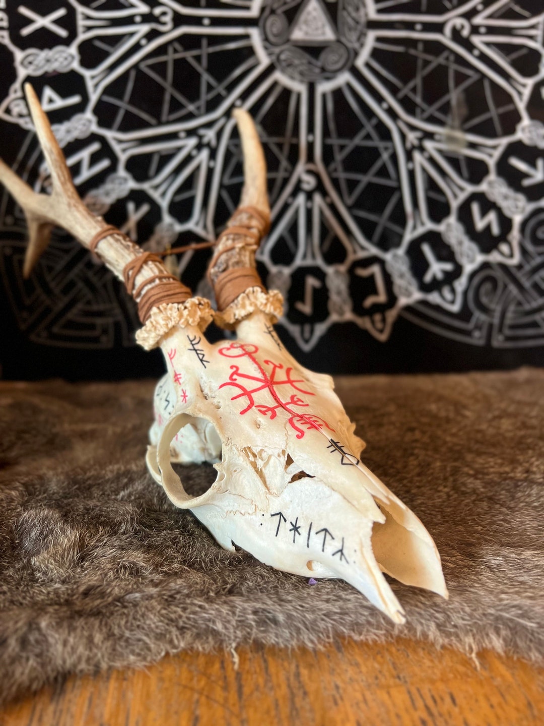 Runic Roe Deer Skull | Viking Deer Skull | Runes | Taxidermy | Altar - Etsy