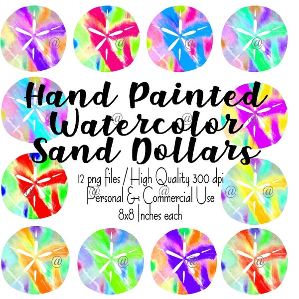 Sand Dollar Clip Art - Etsy