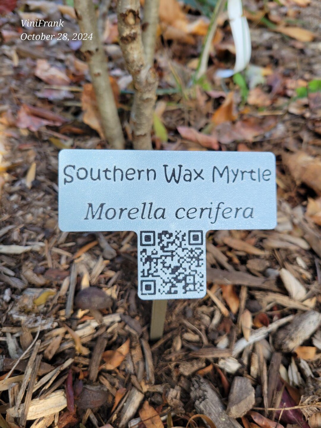 Customized Plant Labels With QR Codes - Etsy