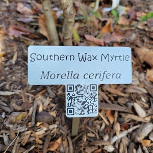 Customized Plant Labels With QR Codes - Etsy