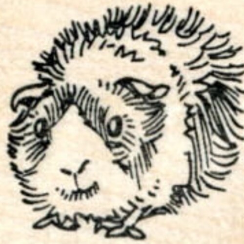 Hello Guinea Pig Rubber Stamp H7905 Wood Mounted - Etsy