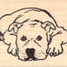 Poodle Rubber Stamp, Dog Stick Figure D21220 Wood Mounted - Etsy