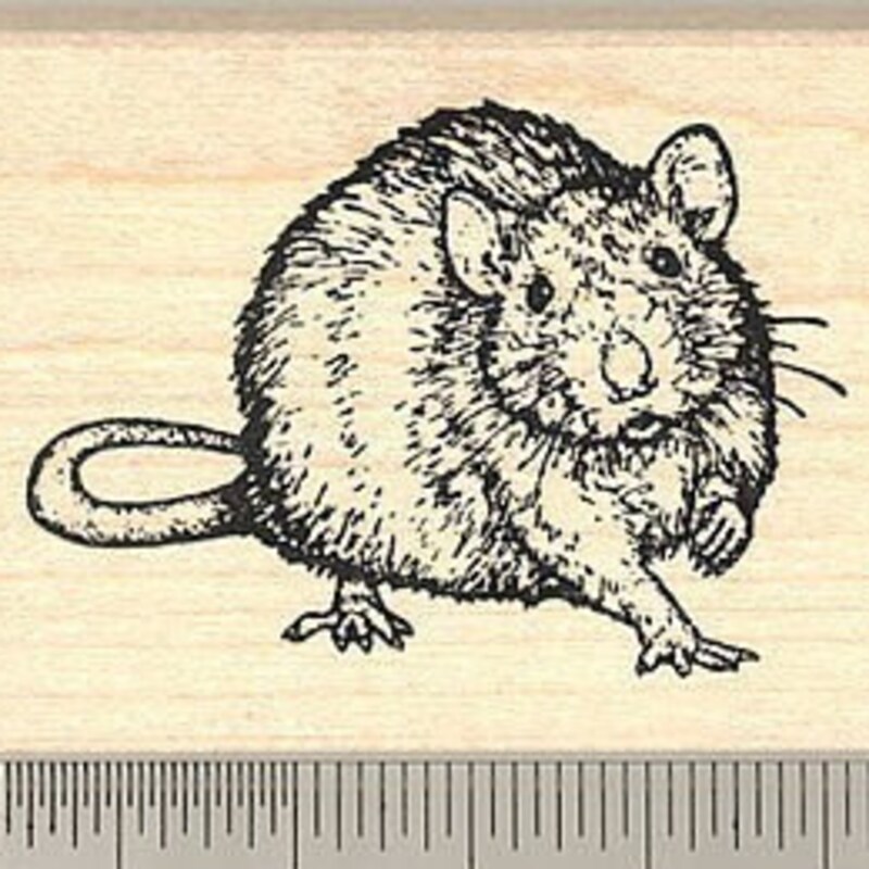 Mouse Rubber Stamp - Etsy