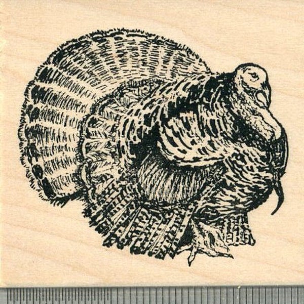 Wild Turkey Stamp - Etsy