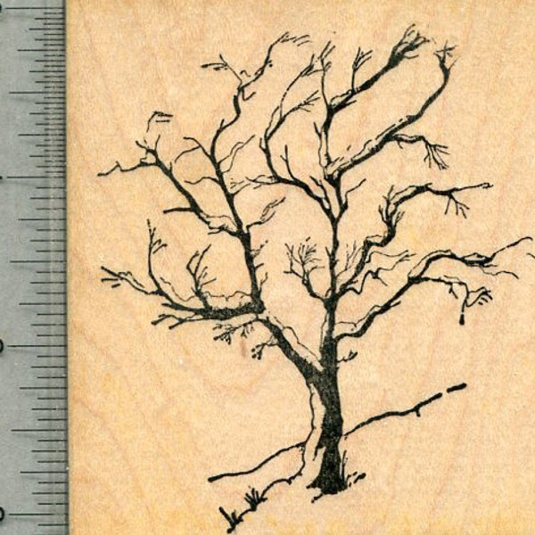 Bare Tree Stamp - Etsy