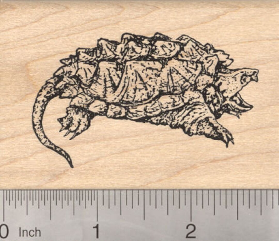 Alligator Snapping Turtle Rubber Stamp K6907 Wood Mounted - Etsy