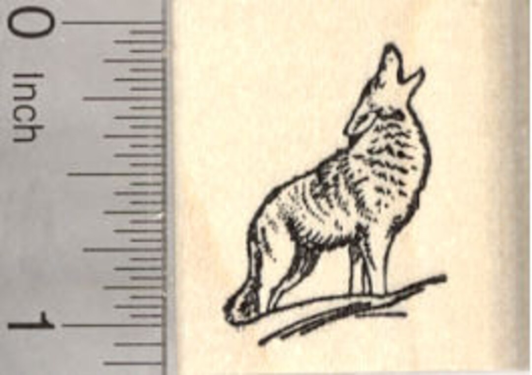 Howling Coyote Rubber Stamp, Wildlife, Small D26812 Wood Mounted - Etsy