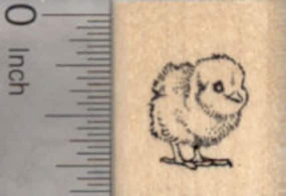 Tiny Baby Chick Rubber Stamp Chicken A21911 Wood Mounted | Etsy