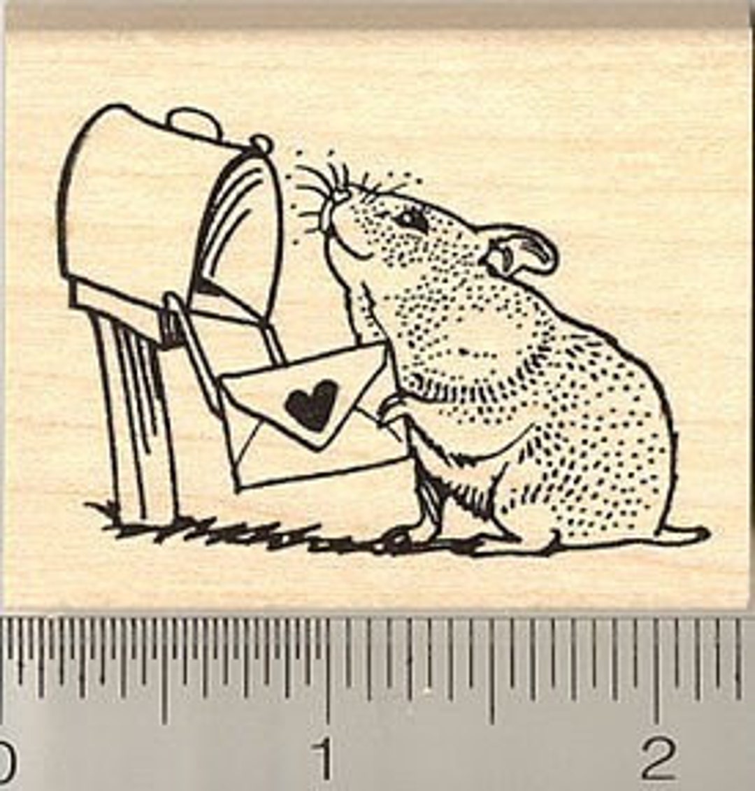 Hamster Valentine's Day Rubber Stamp H8919 Wood Mounted - Etsy