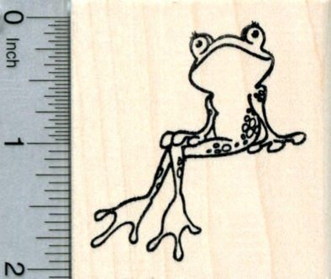 Sitting Frog Rubber Stamp J31825 Wood Mounted - Etsy