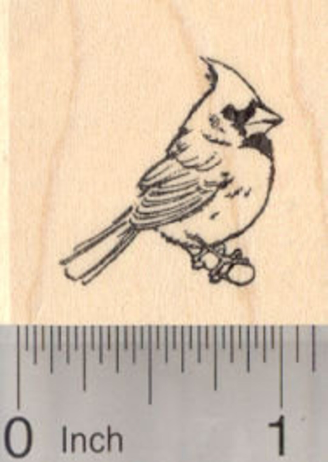 Cardinal Bird on Branch Rubber Stamp, Small D25103 Wood Mounted - Etsy