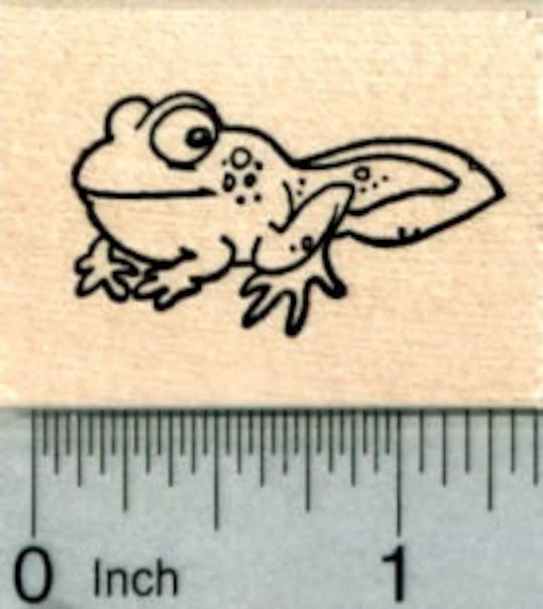 Tadpole Rubber Stamp, Frog With Tail D30521 Wood Mounted - Etsy