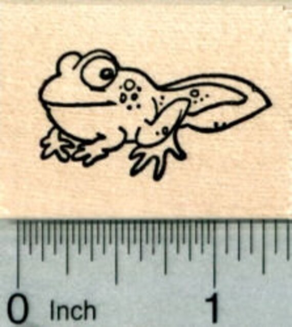 Tadpole Rubber Stamp Frog With Tail D30521 Wood Mounted | Etsy