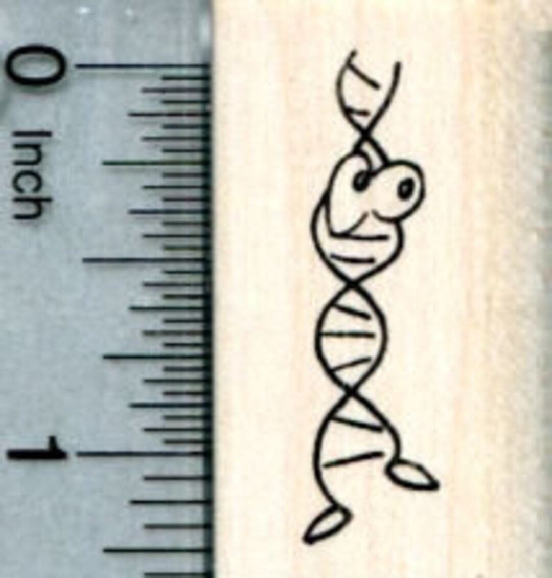 DNA Rubber Stamp, Helix With Face, Science Series D34012 Wood Mounted ...
