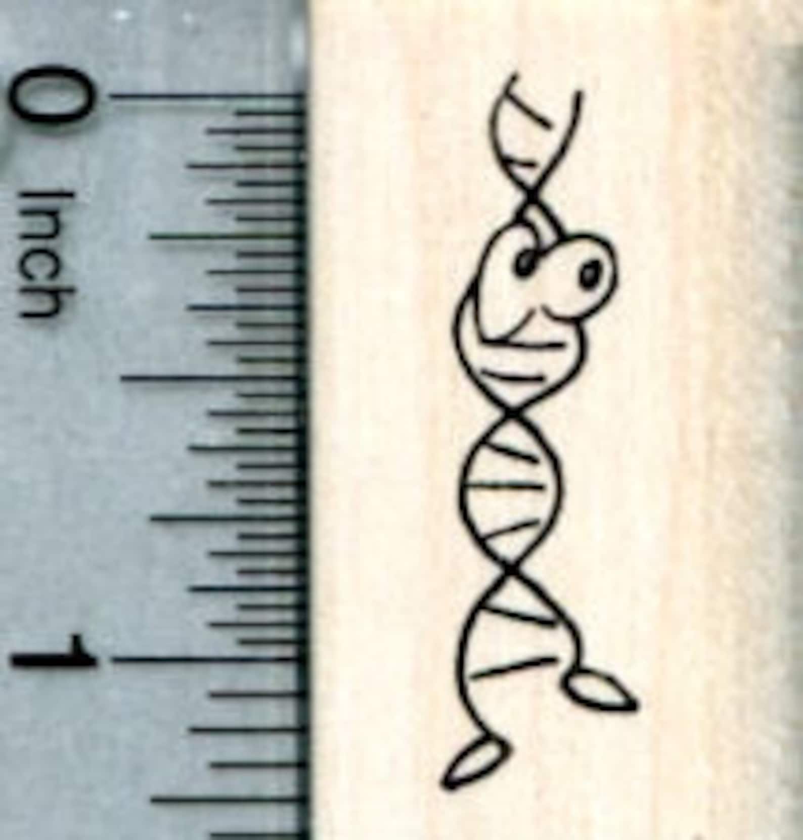 DNA Rubber Stamp Helix With Face Science Series D34012 Wood - Etsy