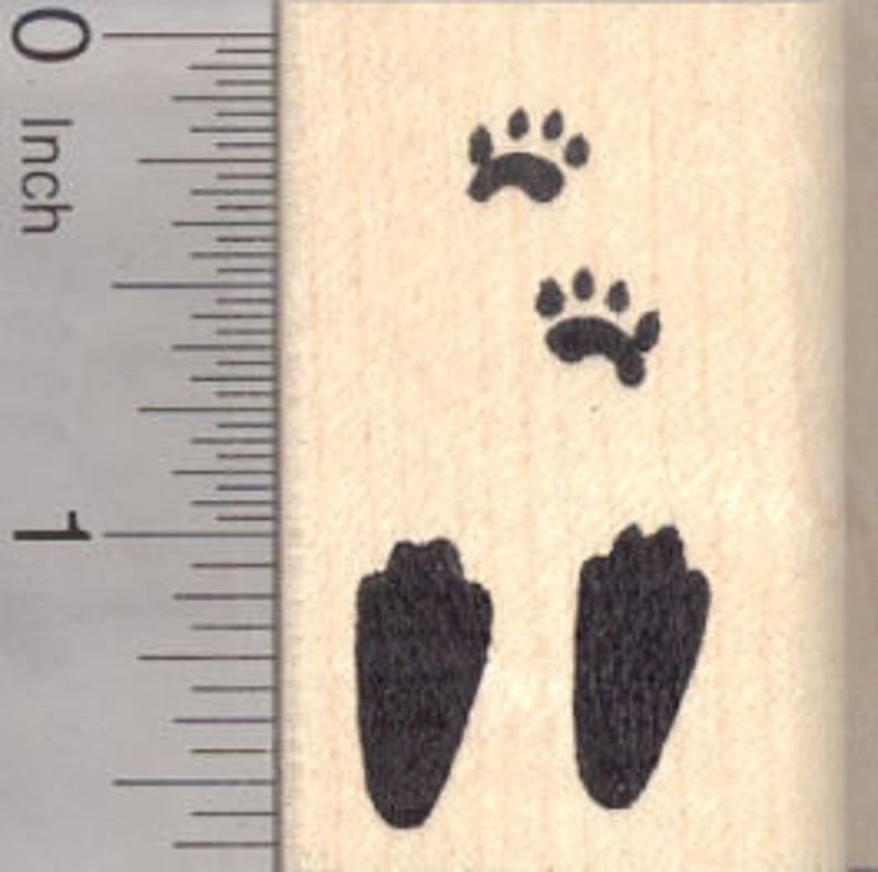 Rabbit Paw Print Rubber Stamp Bunny Tracks D5414 Wood Mounted | Etsy