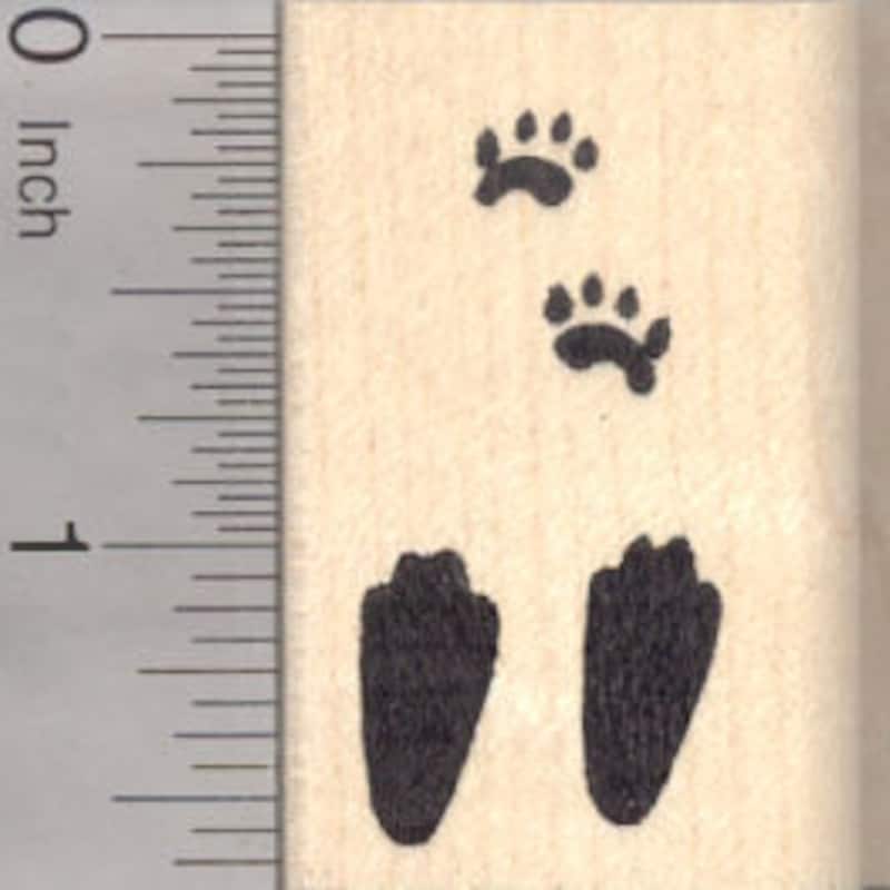 Rabbit Paw Print - Etsy