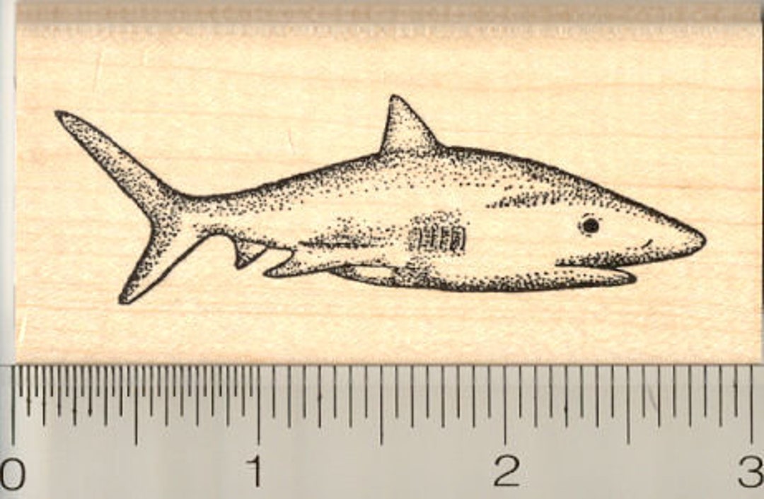 Shark Rubber Stamp J4405 Wood Mounted - Etsy