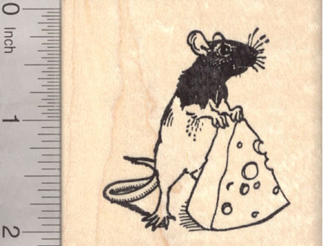 Rat With Cheese Rubber Stamp J7918 Wood Mounted - Etsy