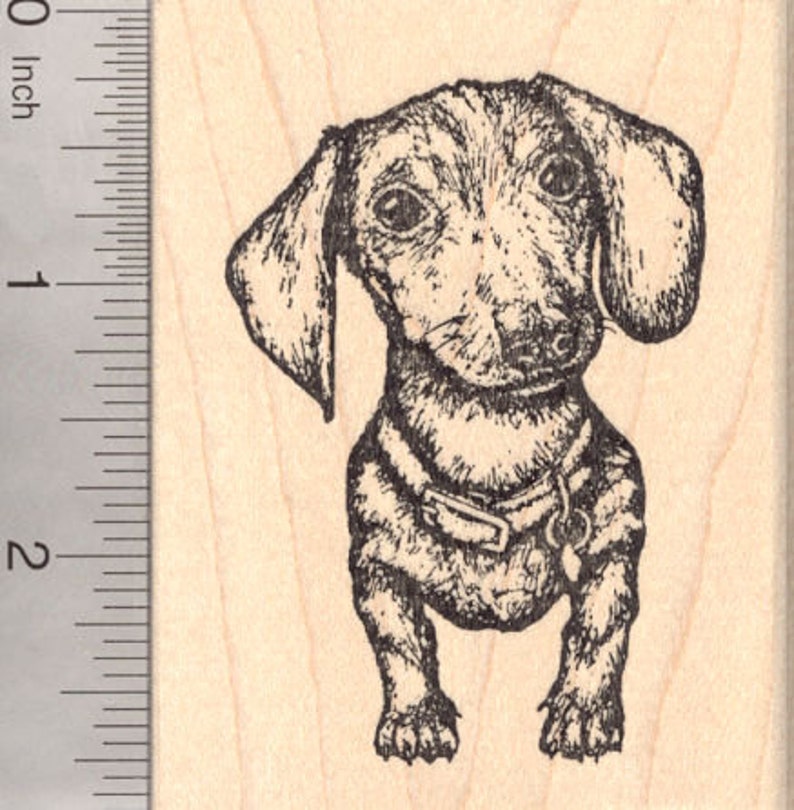 Dachshund Dog Rubber Stamp Beautiful Detailed and Realistic - Etsy