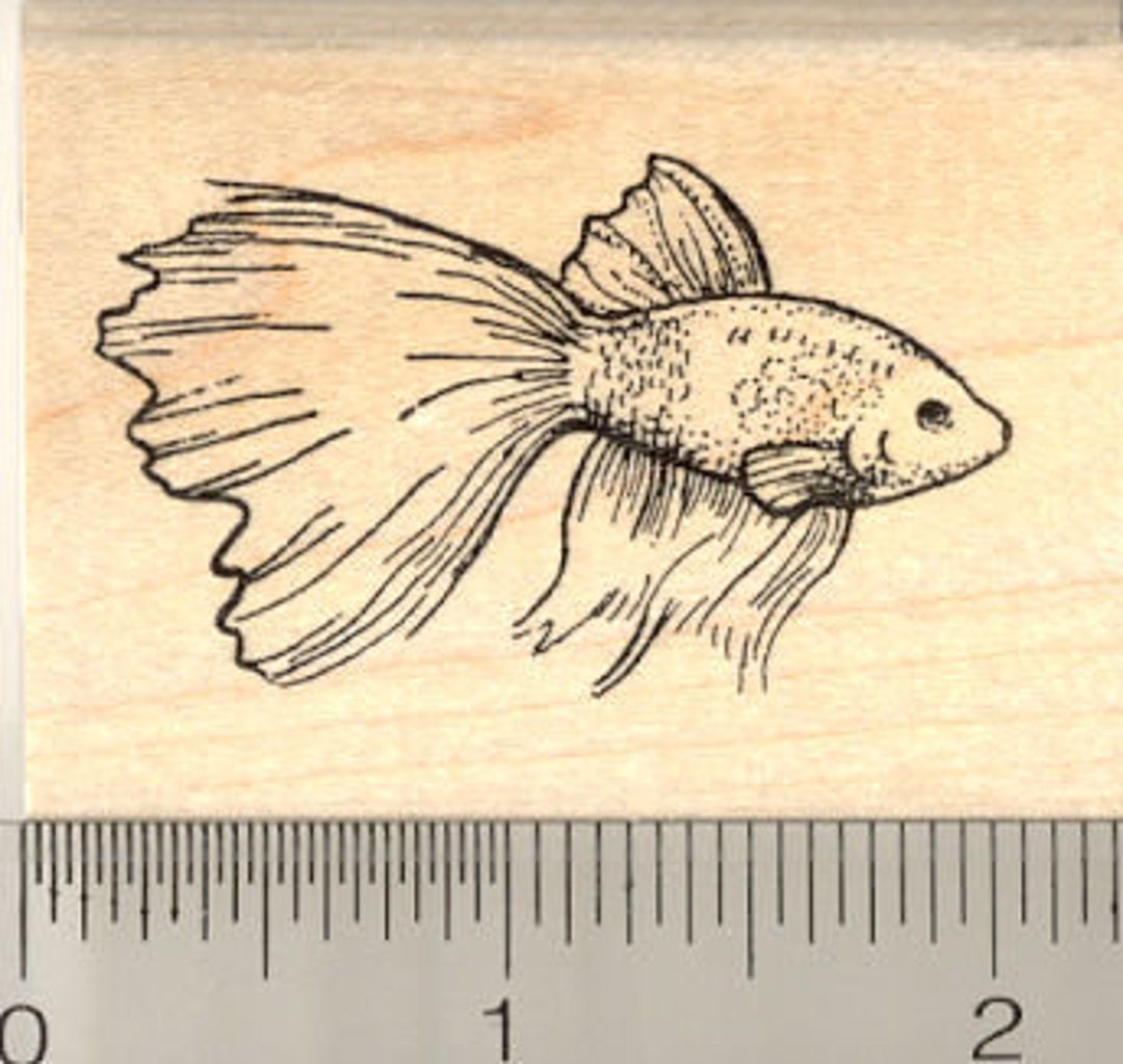 Betta Fish Rubber Stamp H5124 Wood Mounted - Etsy