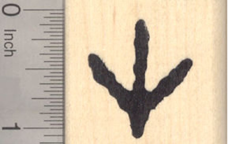 Bird Track Rubber Stamp, Footprint, Talon D24202 Wood Mounted - Etsy