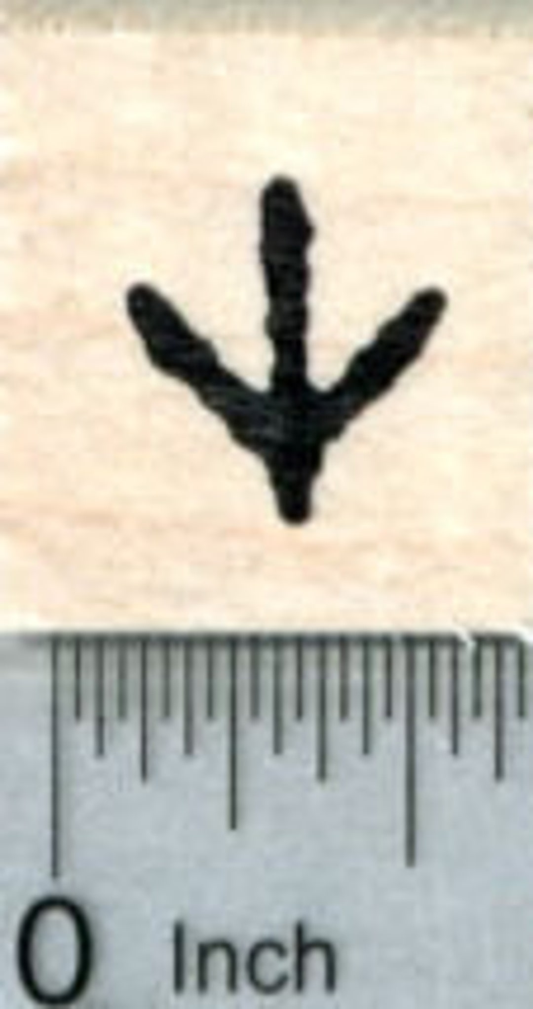 Small Chicken Track Rubber Stamp, 1/2 Inch Tall A31624 Wood Mounted - Etsy