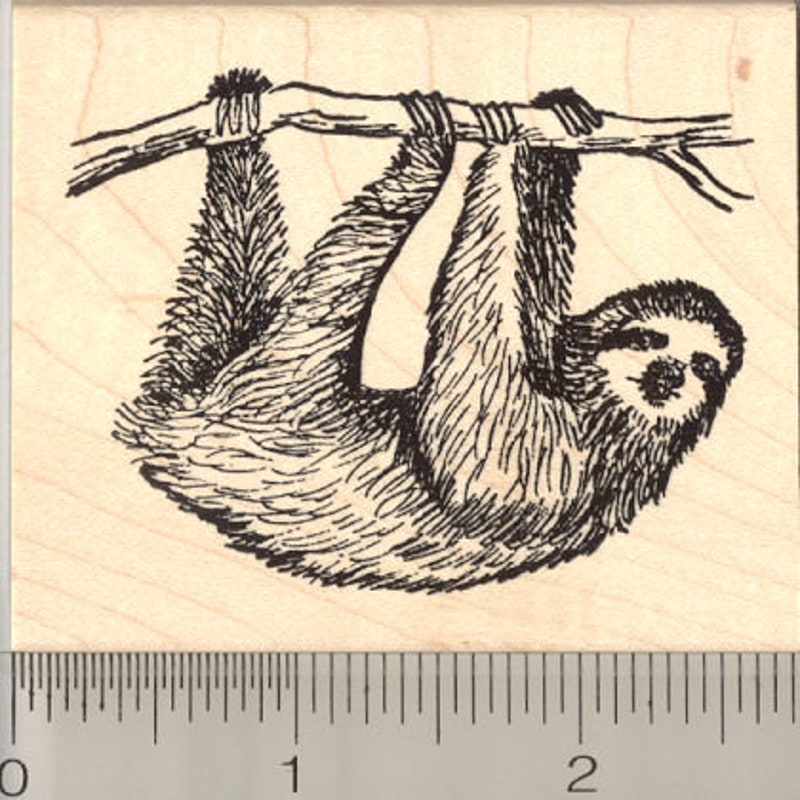 Sloth Rubber Stamp - Etsy