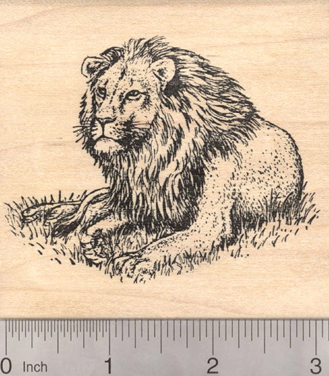 Lion Rubber Stamp M5807 Wood Mounted - Etsy