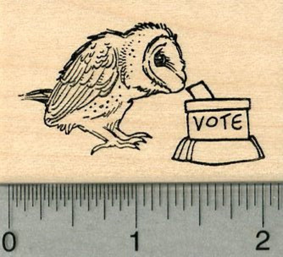 Voting Owl Rubber Stamp, Election Series H36904 Wood Mounted - Etsy
