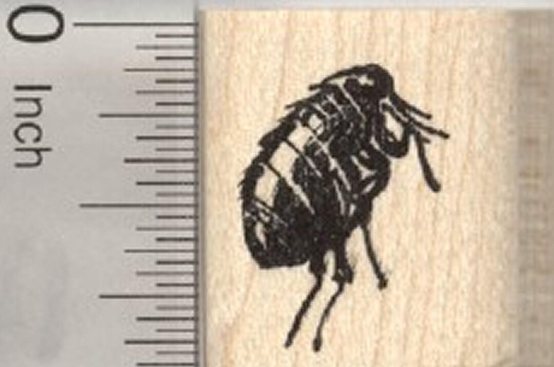 Flea Rubber Stamp A27927 Wood Mounted - Etsy