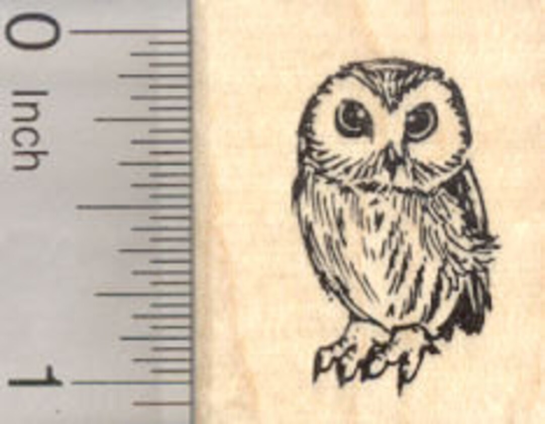 Owl Rubber Stamp, Small D25105 Wood Mounted - Etsy