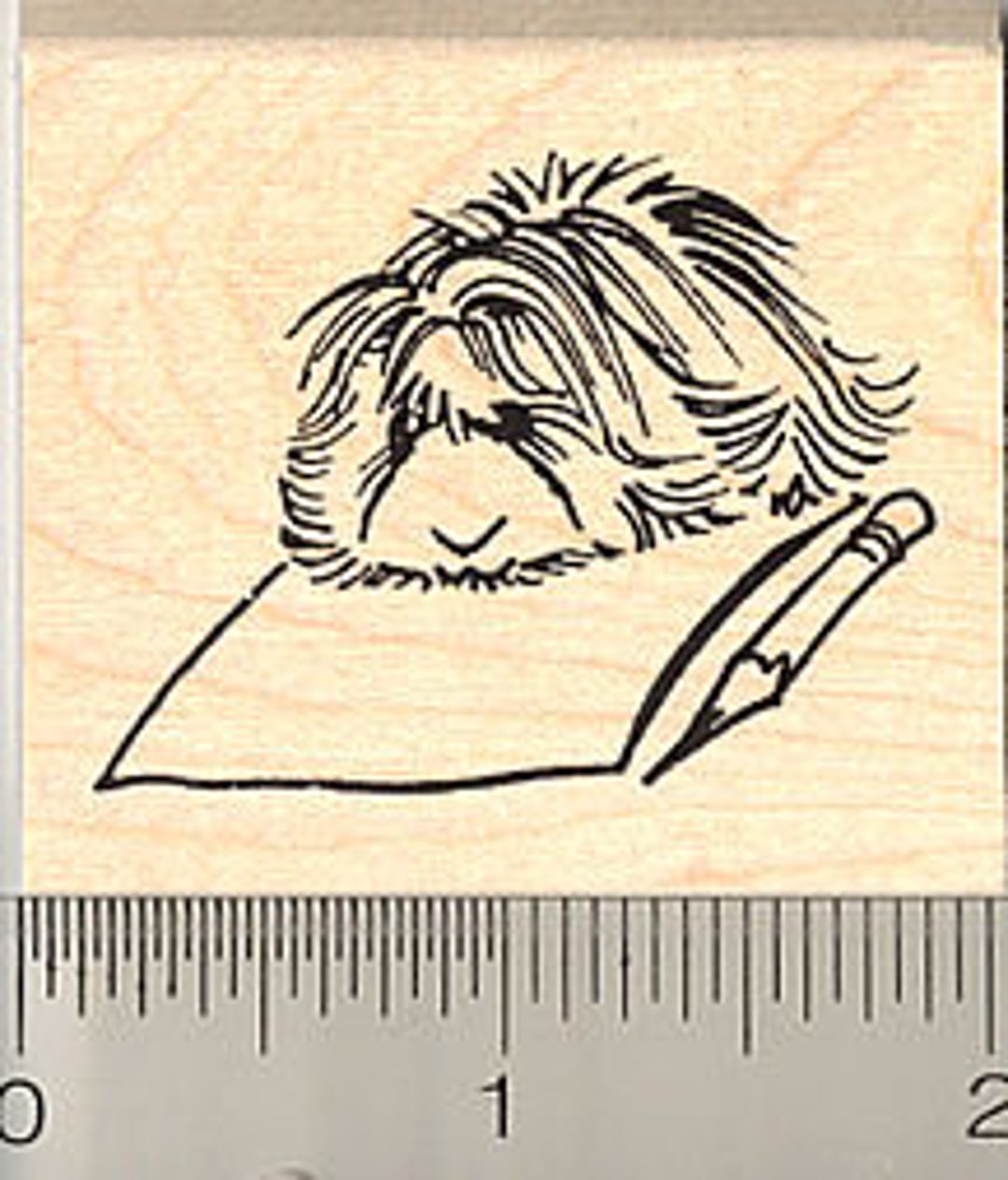 Guinea Pig Writing A Letter Rubber Stamp E8501 Wood Mounted - Etsy