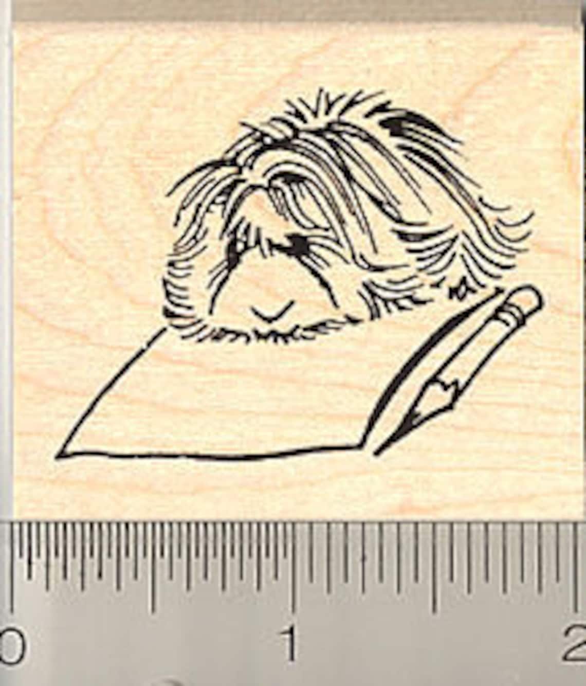 Guinea Pig Writing A Letter Rubber Stamp E8501 Wood Mounted - Etsy