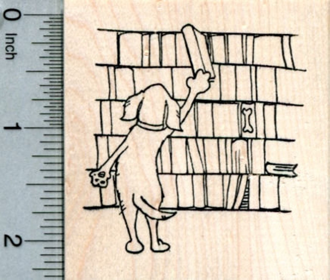 Dog Library Rubber Stamp, Reading Series J30928 Wood Mounted - Etsy