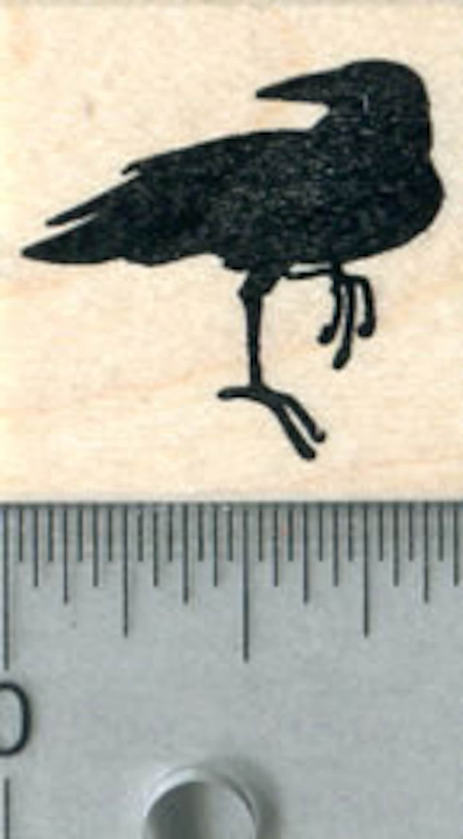 Raven Rubber Stamp Small Black Bird Crow A31010 Wood Mounted - Etsy