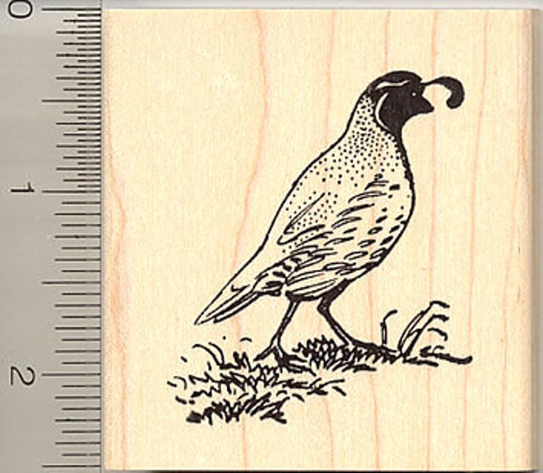 Quail Rubber Stamp H9013 Wood Mounted - Etsy