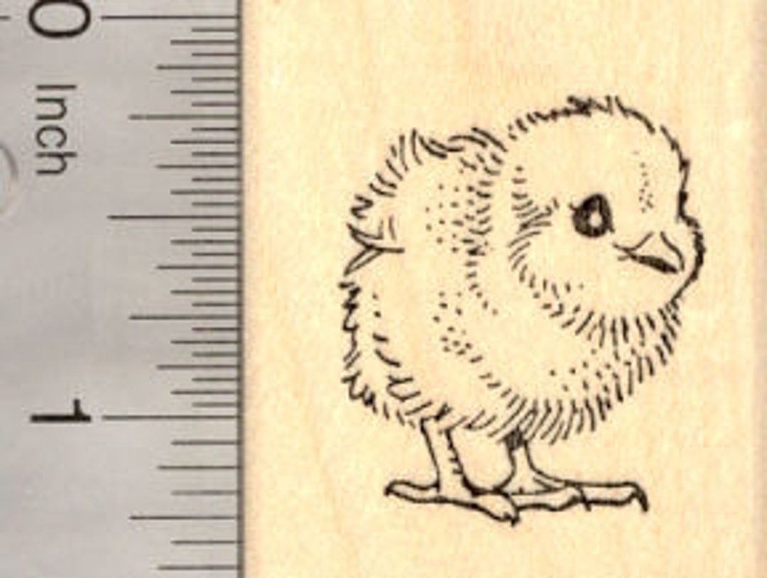 Spring Chick Rubber Stamp, Easter D17109 Wood Mounted - Etsy