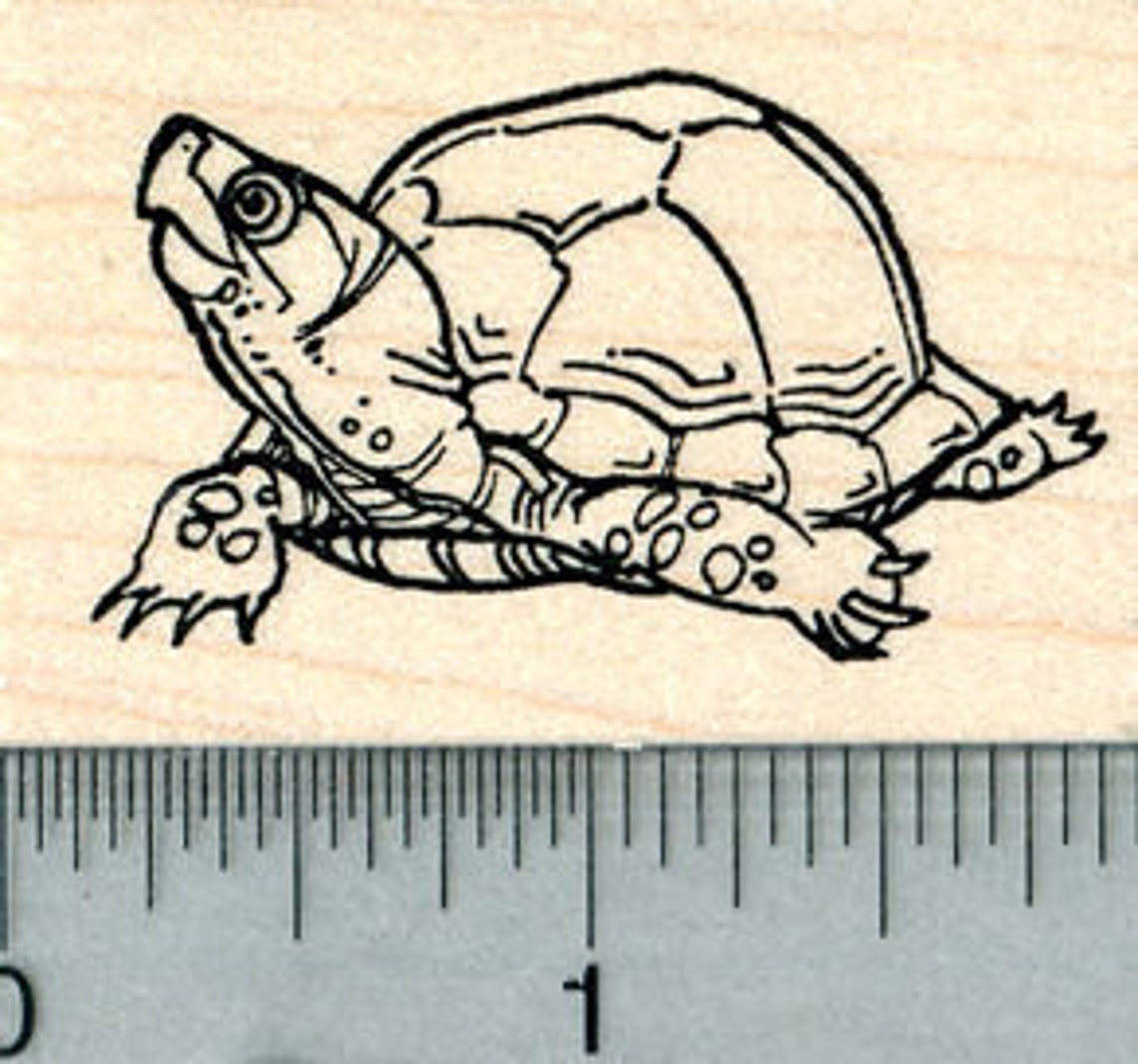 Turtle Rubber Stamp, Tortoise E31017 Wood Mounted - Etsy