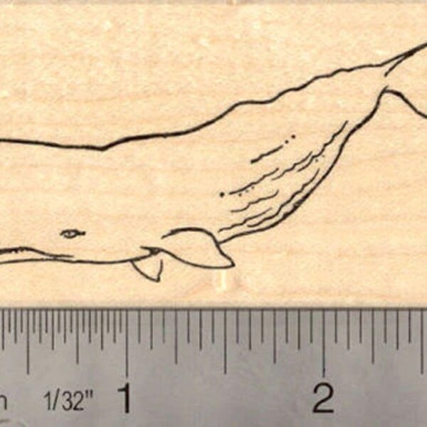 Whale Rubber Stamp - Etsy