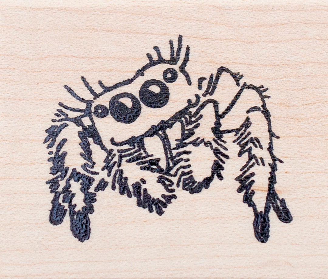 Jumping Spider Rubber Stamp, Bold Jumper G38809 Wood Mounted - Etsy